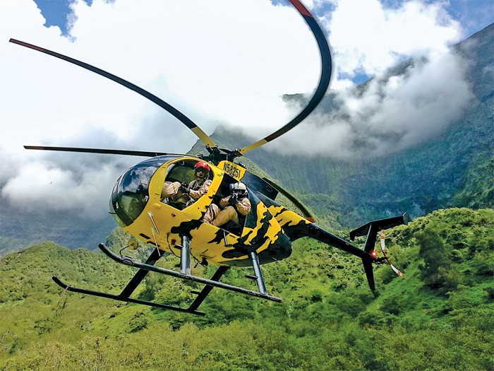 Herbicides emerge as an unexpected ally in the war on invasive plants