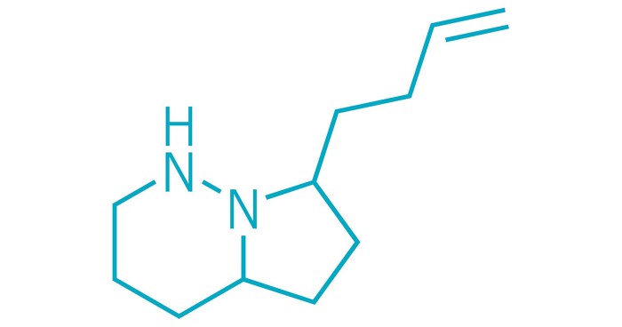 Chemistry in Pictures: Pipe dream