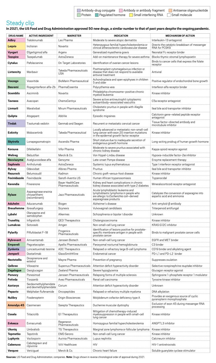 New drug approvals held steady in 2021