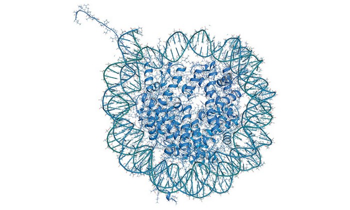 Expanding the histone code