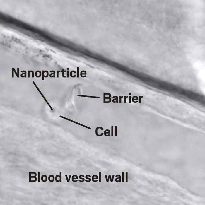 Dispositivo ingerível, inspirado na tartaruga, vira na direção vertical ...