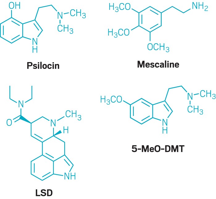Exploring The Molecular Basis Of “Runner’s High”