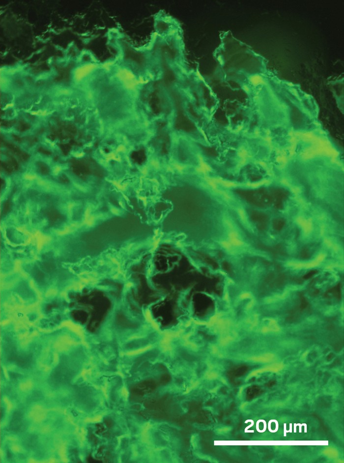 Thomas Swan links with graphene center