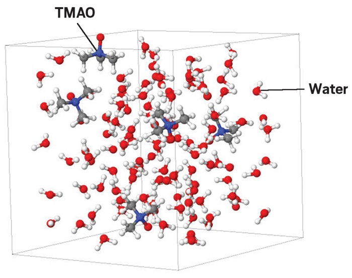 How a chemical protects fish from the extreme pressures of the deep