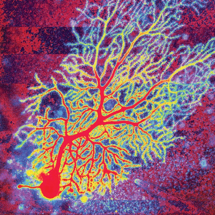 Chemistry in Pictures: Branching into art