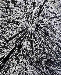 Chemistry in Pictures: A very dry surface