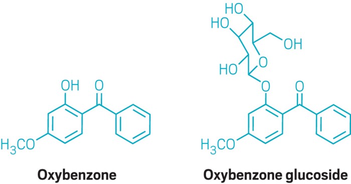 Sunscreen chemical kills corals—now scientists know why - adomain