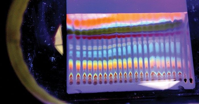 Manus Bio raises $19 million to make plant ingredients via fermentation