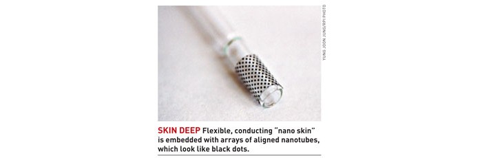 'Nano Skins' Made From Polymer, Nanotubes