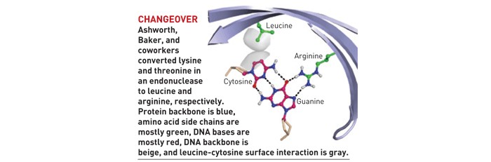 Enzyme Redesigned Computationally