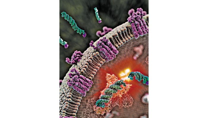 Delivering RNA Interference