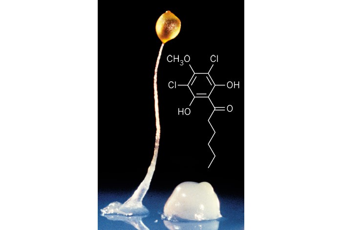 Chemical Biology of the Cell
