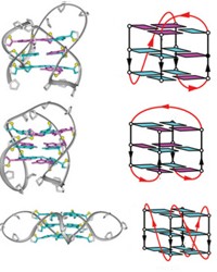 Quadruplex In Its Element