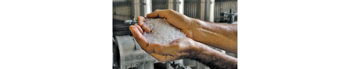 BASF Dedicates Two Texas Plants