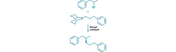 Expanded Suzuki Cross-Coupling