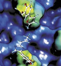 Christopher-Lipinski