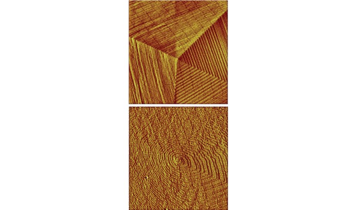 Peptides Influence 'Paleothermometer'