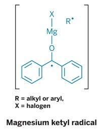 Elusive Criegee reaction intermediate captured