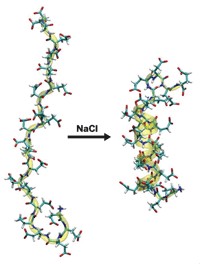 The Science Of Spherification