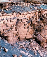 Mars-Soil-pH-Measured