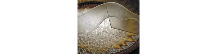 DuPont Launches Solar-Cell Encapsulants