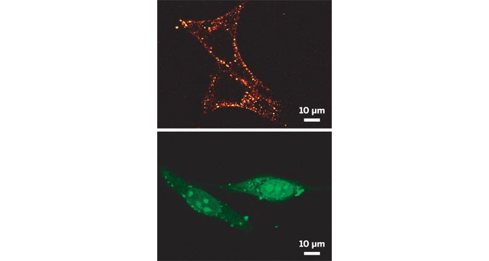 Fluorescent Tag Takes The Wheel