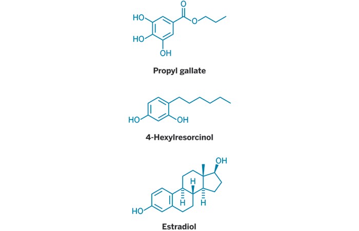 Xenoestrogens-Taint-Food-Additives
