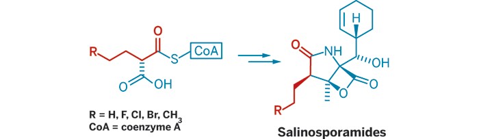 Better Biosynthesis Building Blocks