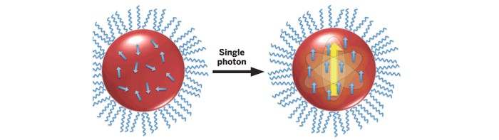 Room-Temperature Quantum Magnets