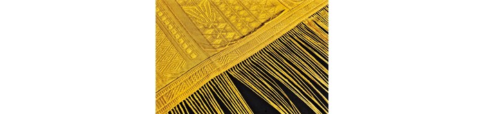 How To Silk A Spider, Preventing Space-Dust Damage