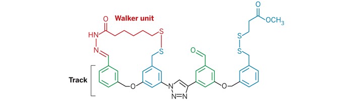 Tiny Molecular Track Walker