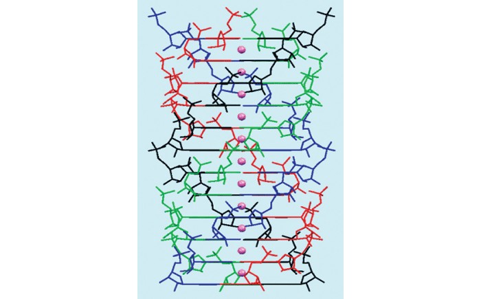 Self-Assembled Nucleotide Helix