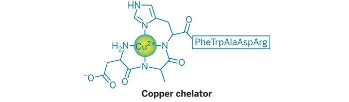 ProchelatorCorrals-Copper-Cue