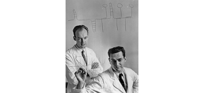 Marshall Nirenberg's Work Honored