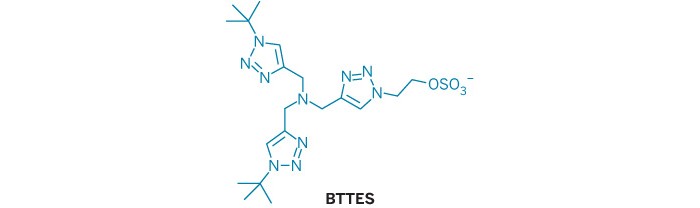 Imaging Molecules On Living Cells