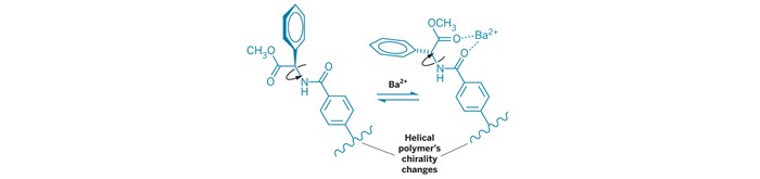 Helical Polymers Under Stereocontrol