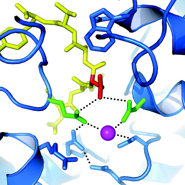 Marking Sugar’s Spot