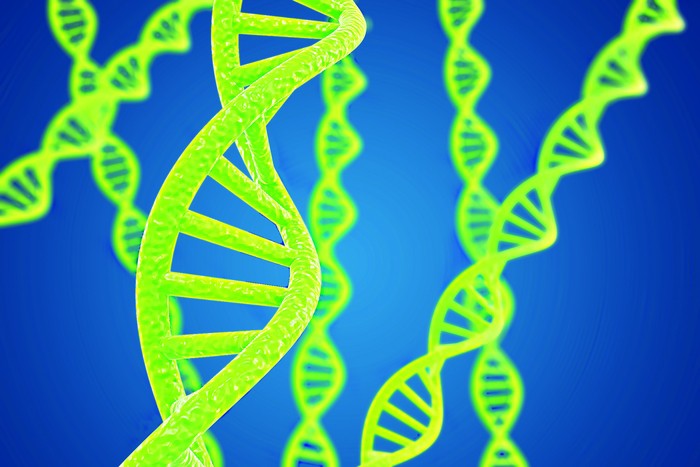 Patenting Human Genes