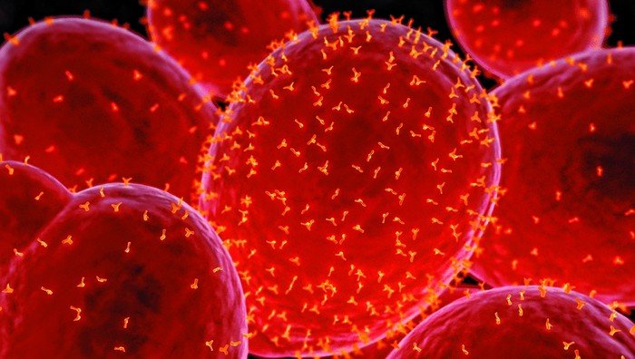 Biogen, Novo Tap Adimab Technology