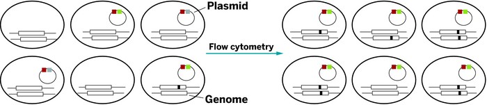 Identifying-Modified-Cells