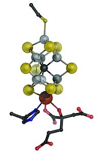 Copper-Nitrosyl Complex Unveiled