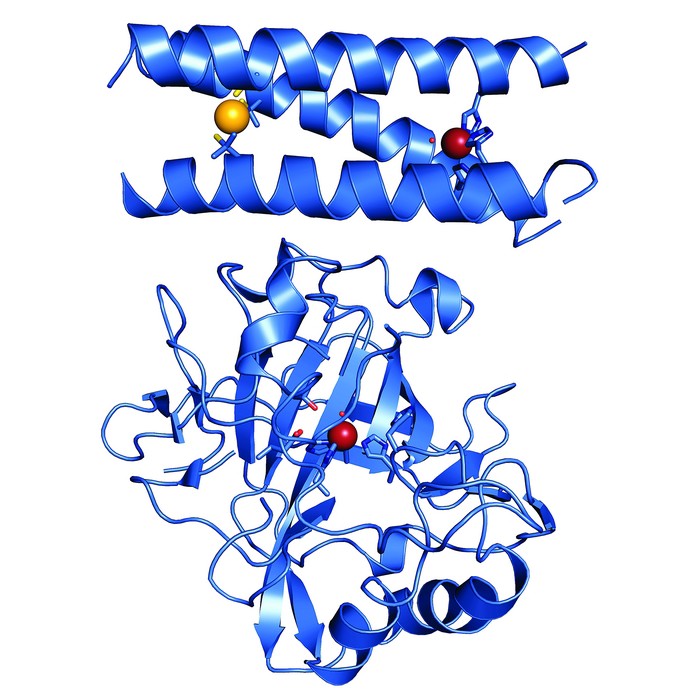 Making A Better Enzyme