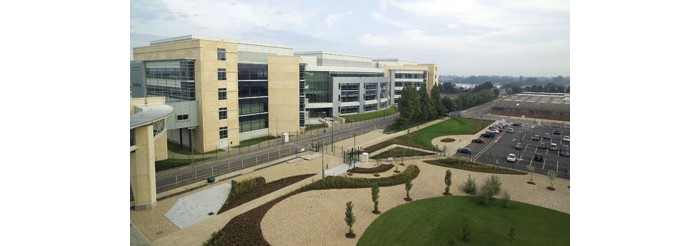 Pfizer Reveals More R&D Cuts