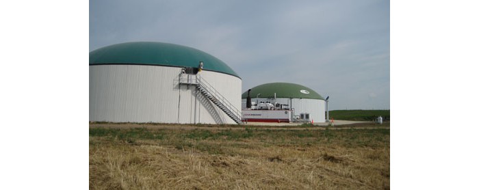 Manure Could Provide U.S. Power