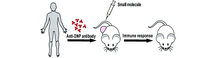 New-Prostate-Cancer-Vaccine-Searches