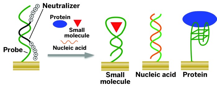 Universal Detector Measures Major Biomolecule Classes