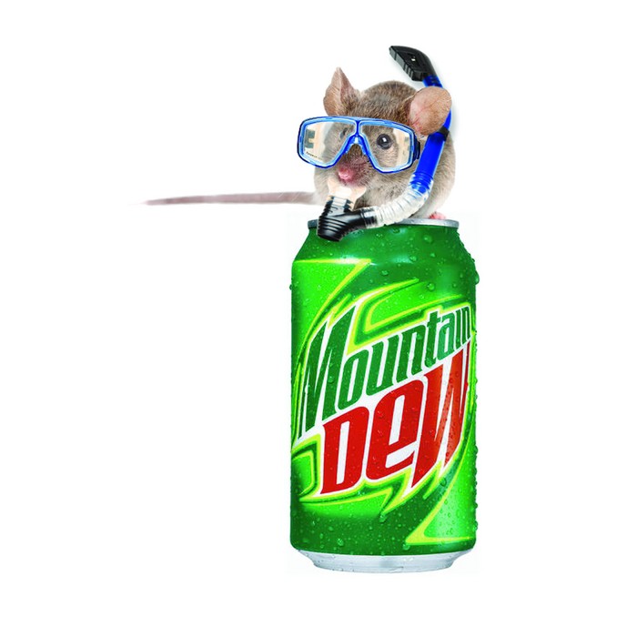 A Mouse In A Can, A Siphon For Your Brew