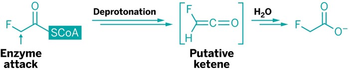 To Tell Substrates Apart, Enzyme Switches Reactions