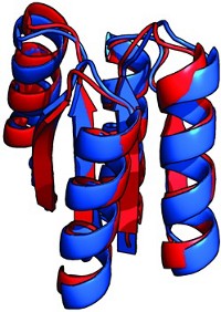 The Protein ‘Periodic Table’