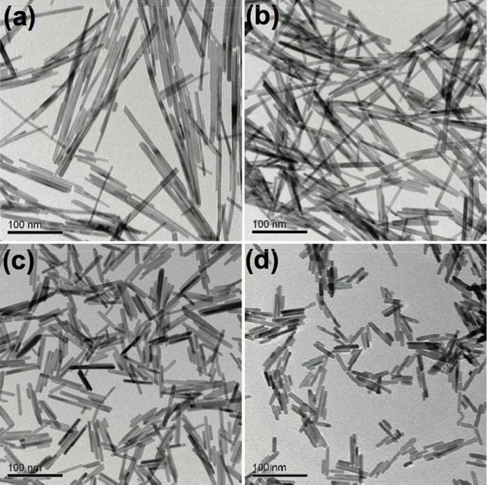 For Nanoparticles, Size Does Matter